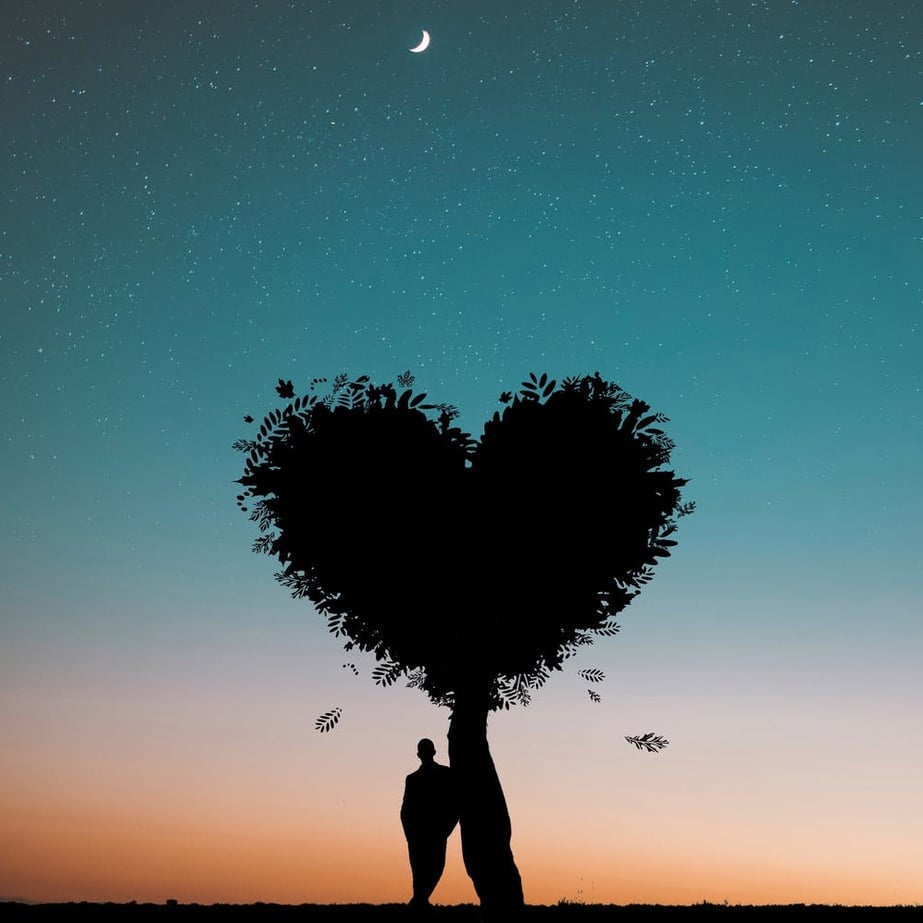 Growing a Healthy and Loving Relationship